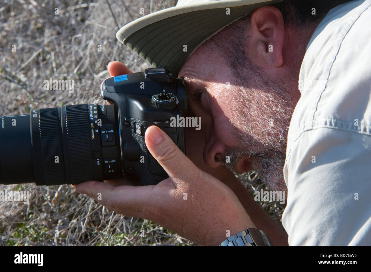 David hosking hi-res stock photography and images - Alamy