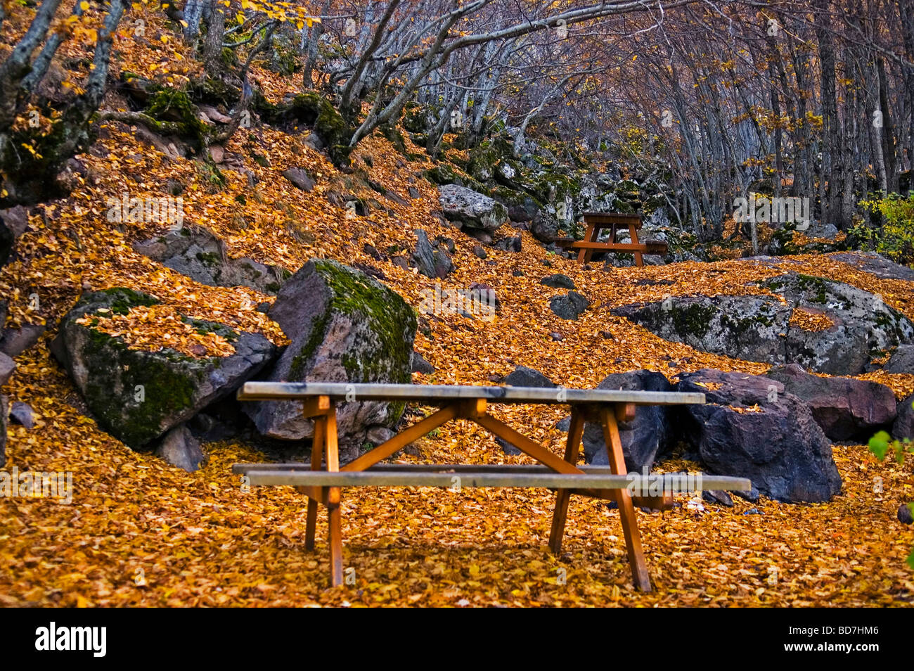 a nice autumn day in the park Stock Photo - Alamy