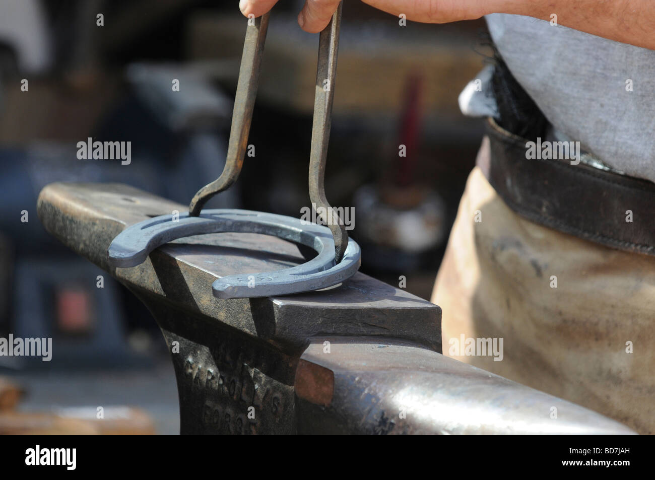 Farrier preparing a horse s hoof for new shoe Preparing the horseshoe ...