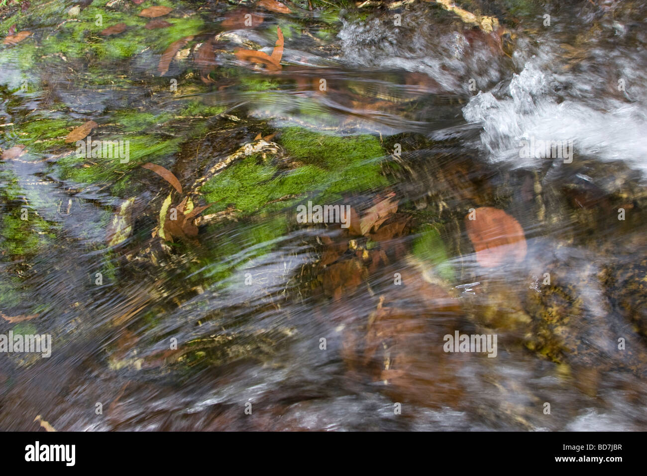 A natural stream of clear, fresh water flows over rocks in the ...