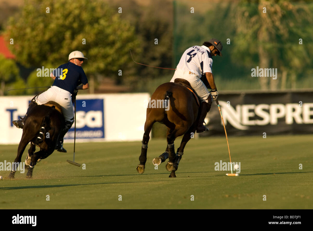 2 Polo players in action Stock Photo - Alamy