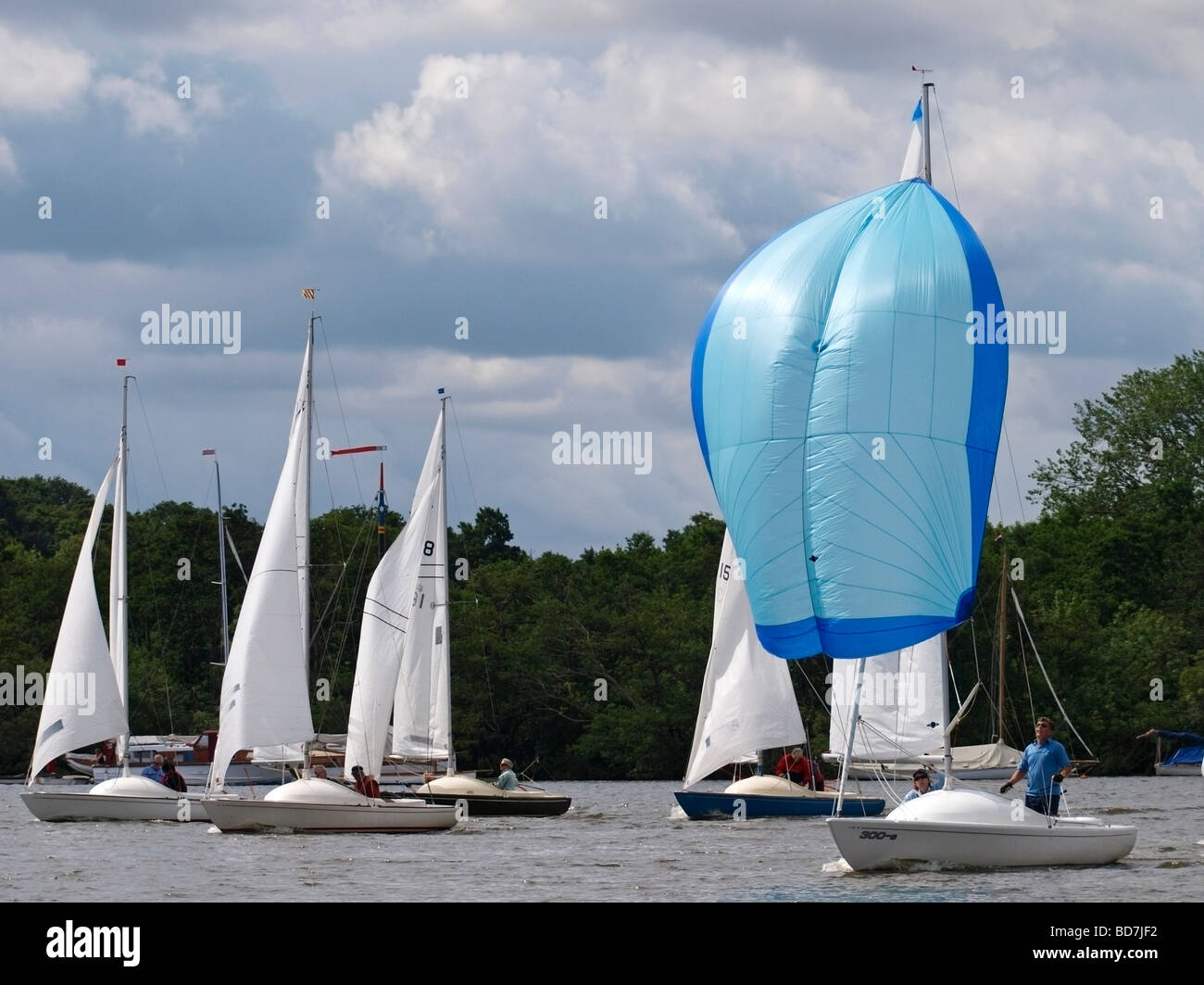 YEOMAN SAILING BOATS TAKING PART IN RACE AT WROXHAM REGATTA NORFOLK ...
