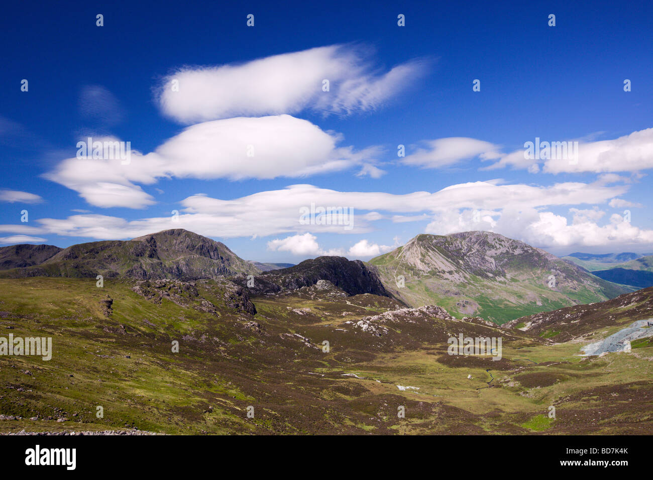 Brandreth hi-res stock photography and images - Alamy