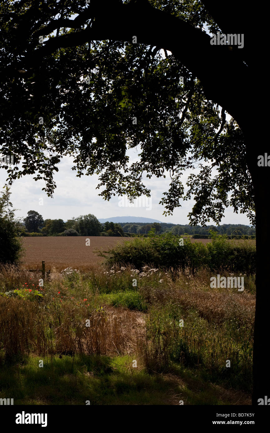 The Wrekin as seen from the Shropshire Way near Stanton upon Hine Heath ...