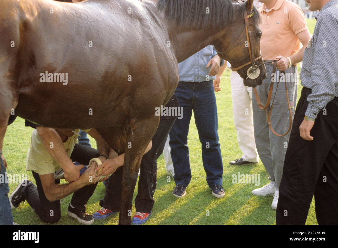 Sagra Of Carroccio High Resolution Stock Photography and Images - Alamy