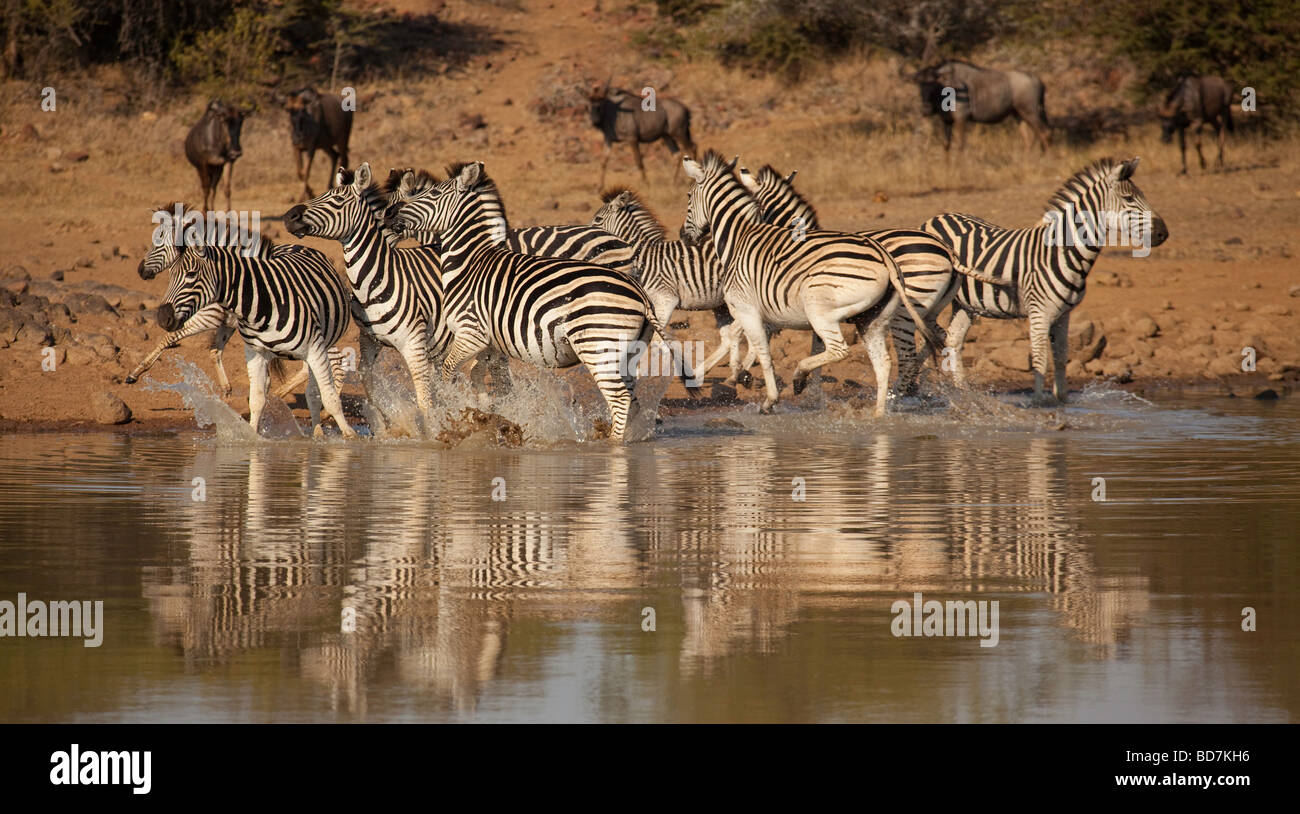 Panic water hi-res stock photography and images - Alamy
