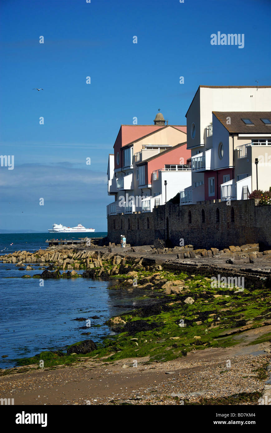 Swanage Peninsula Dorset UK Sea Holiday Resort Seaweed Rocks Beach ...