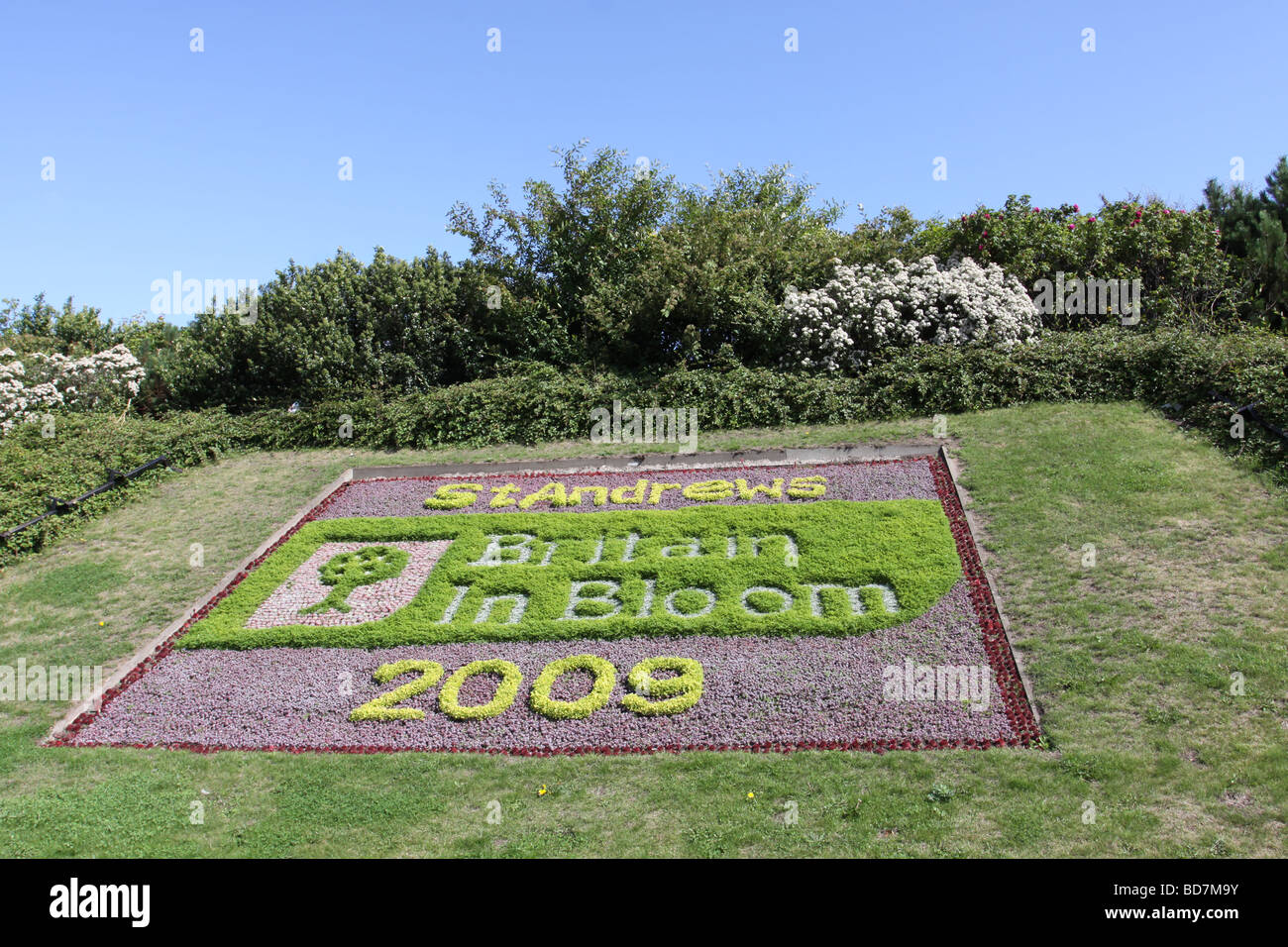 Britain bloom hi-res stock photography and images - Alamy