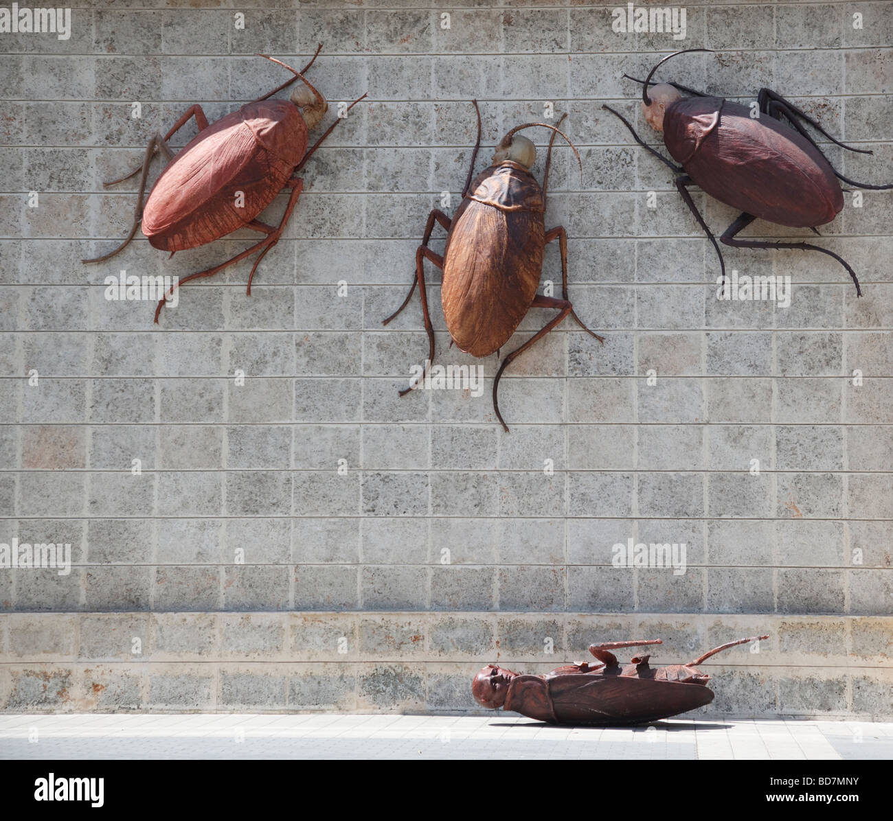 cockroaches on Museo Nacional de Bellas Artes Stock Photo - Alamy
