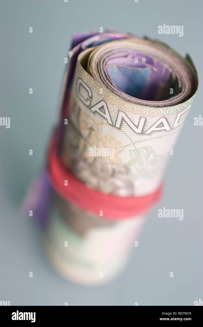 Canadian dollar, also known as the Canadian loonie, the official ...