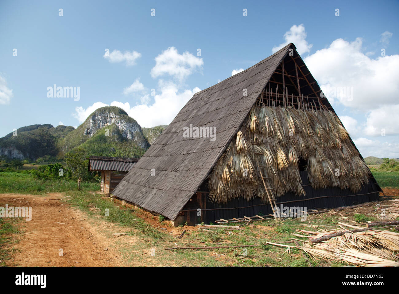 landscape with hut in Viñales Stock Photo - Alamy