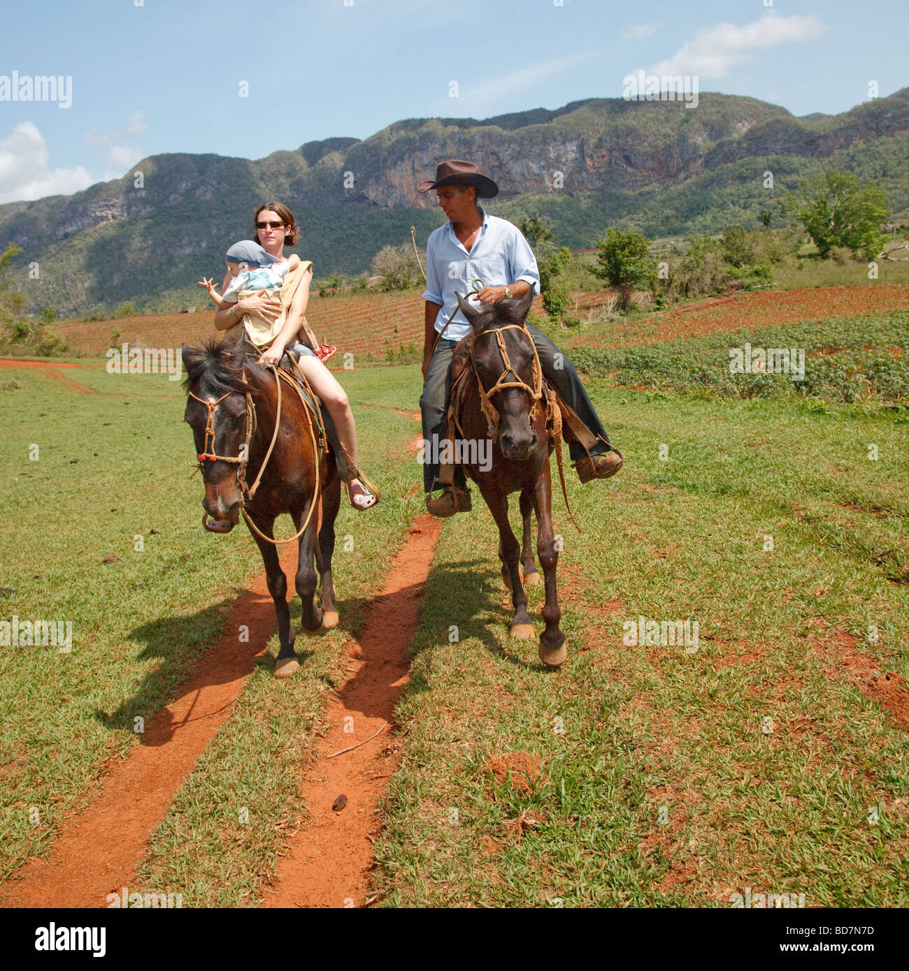 horseback riding in Viñales Stock Photo - Alamy