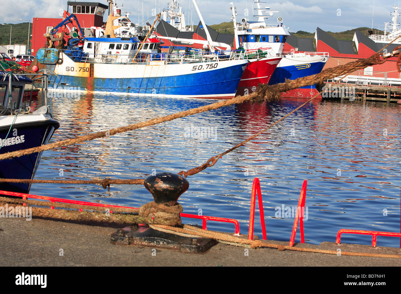Fishing fleet tied up in harbour Stock Photo - Alamy