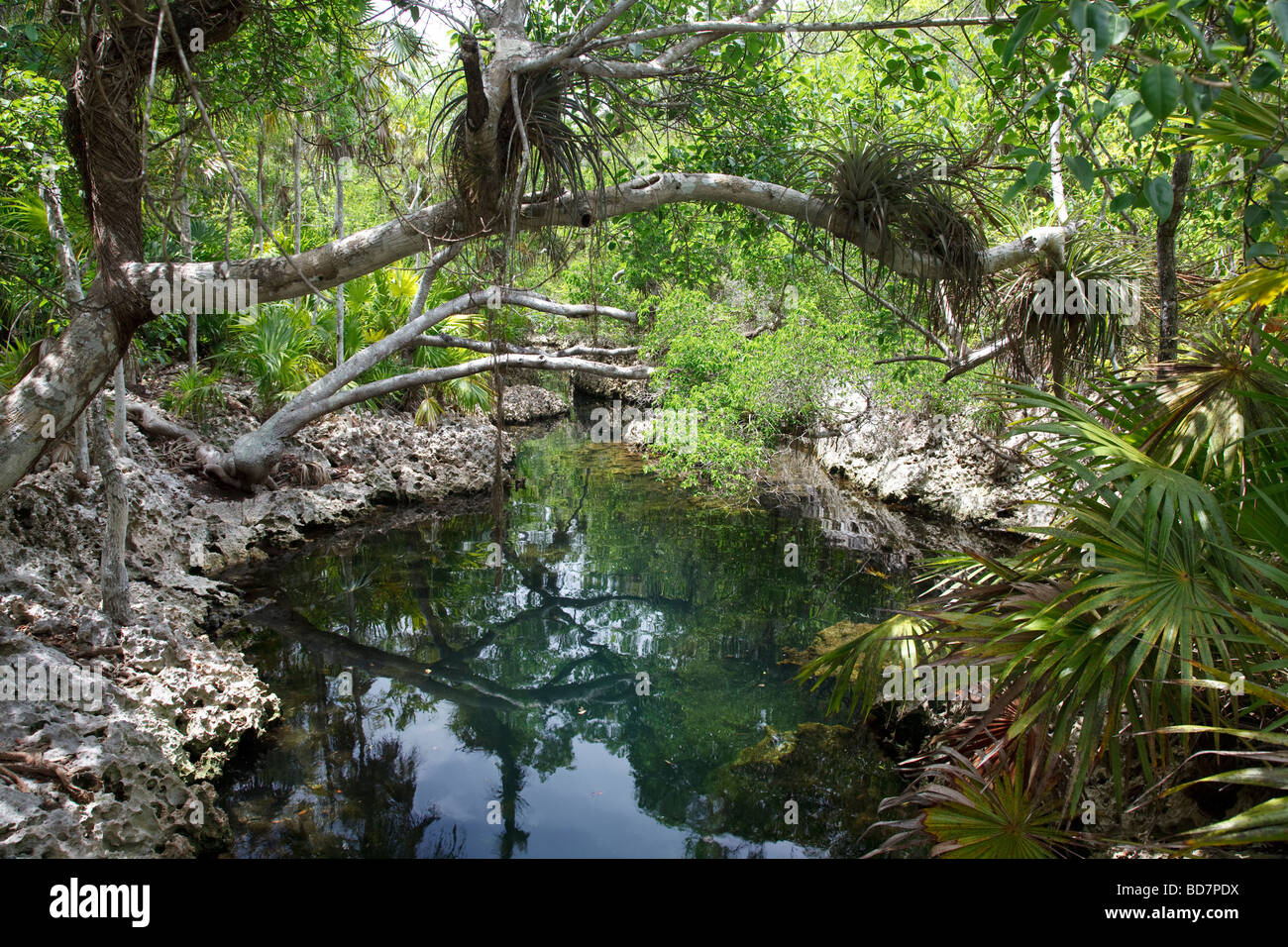Cueva de los peces hi-res stock photography and images - Alamy