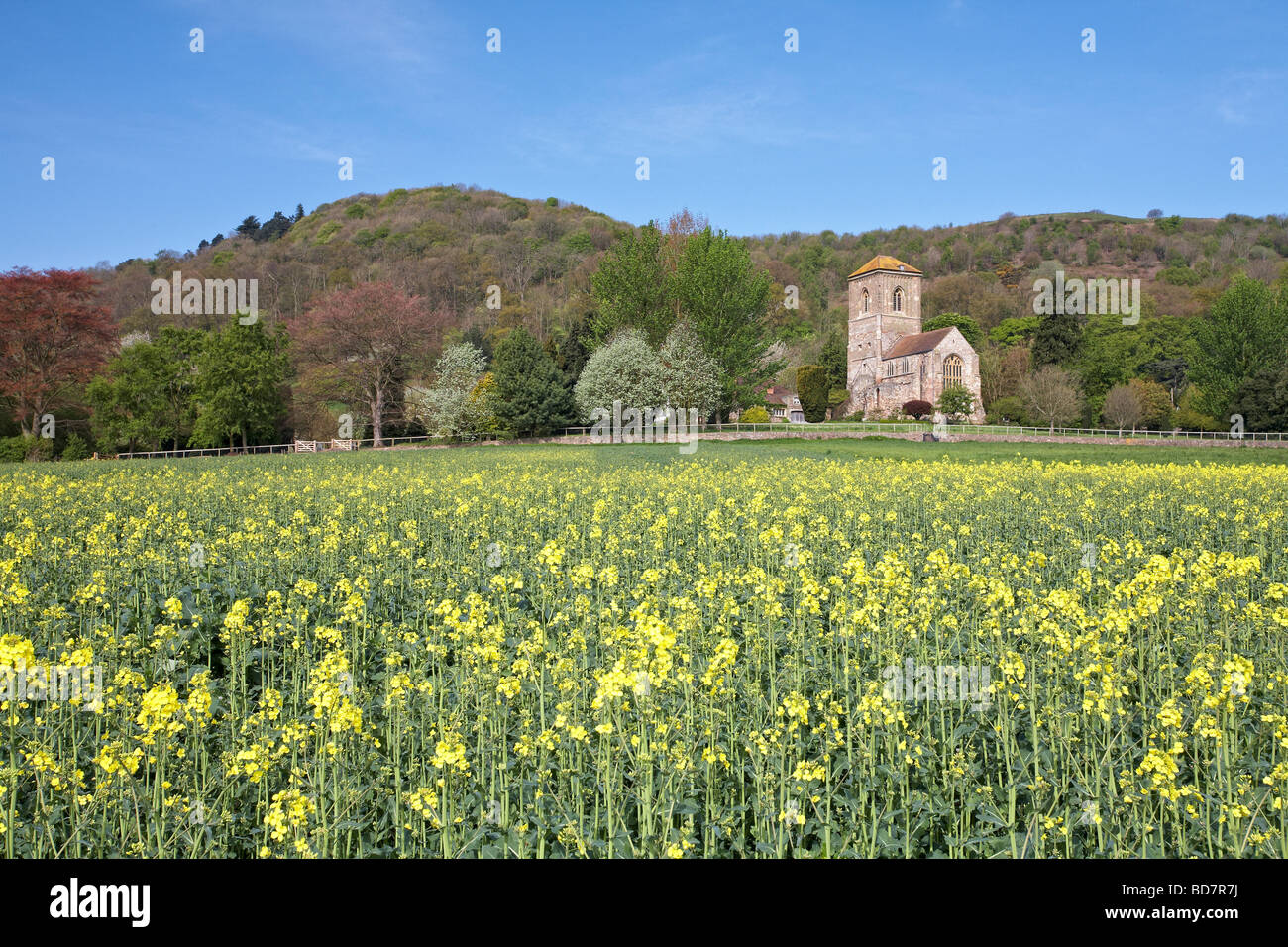 Little Malvern Priory Worcestershire England UK Stock Photo - Alamy