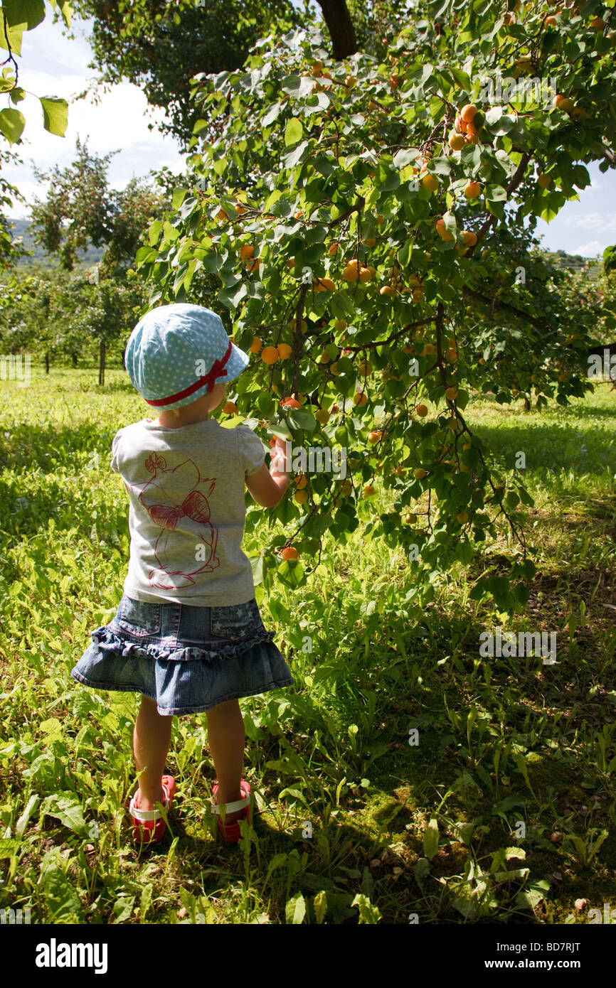 Girl harvest hi-res stock photography and images - Alamy