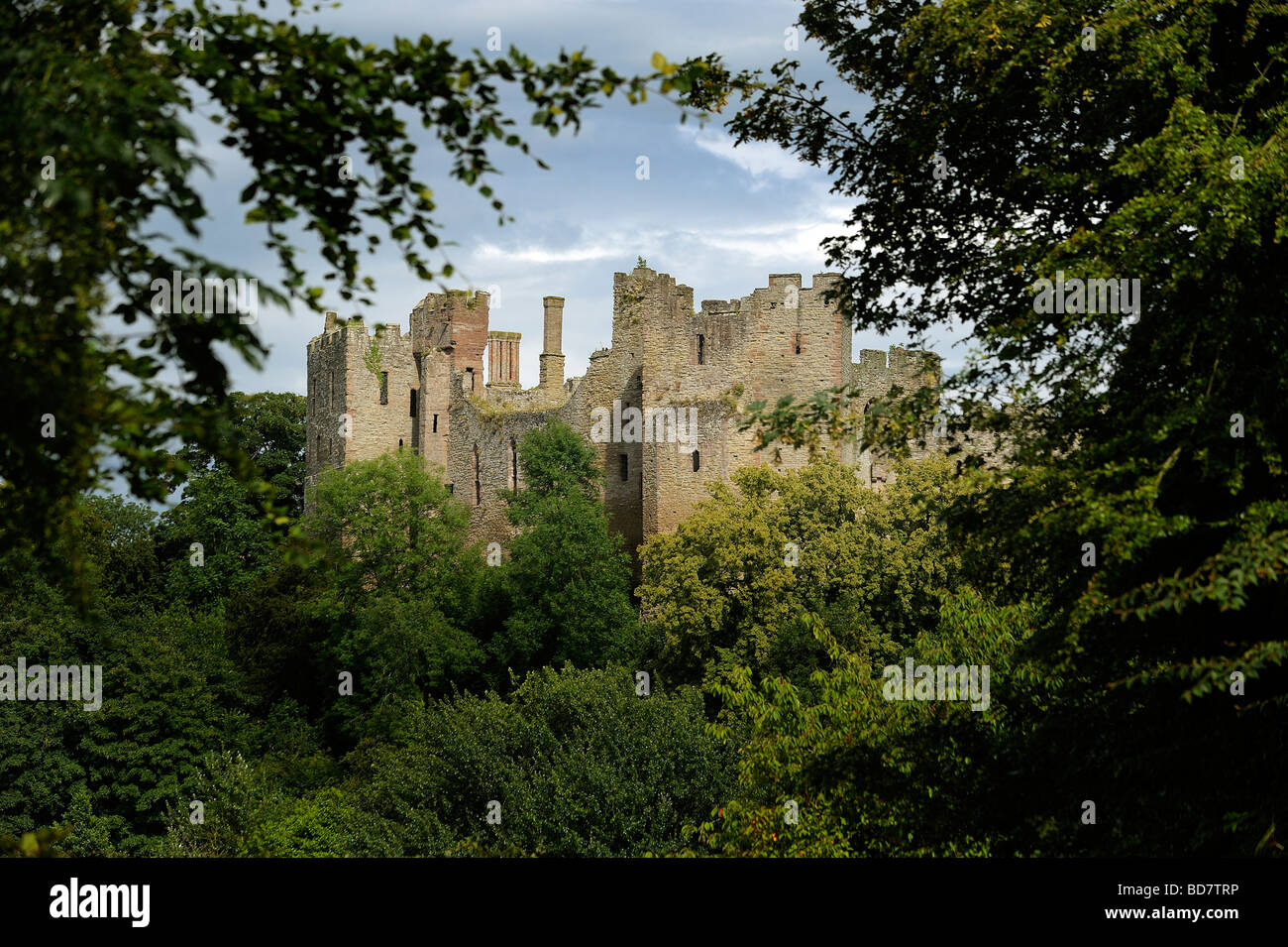 Ludlow Castle in Shropshire surrounded by the trees of Mortimers Forest ...