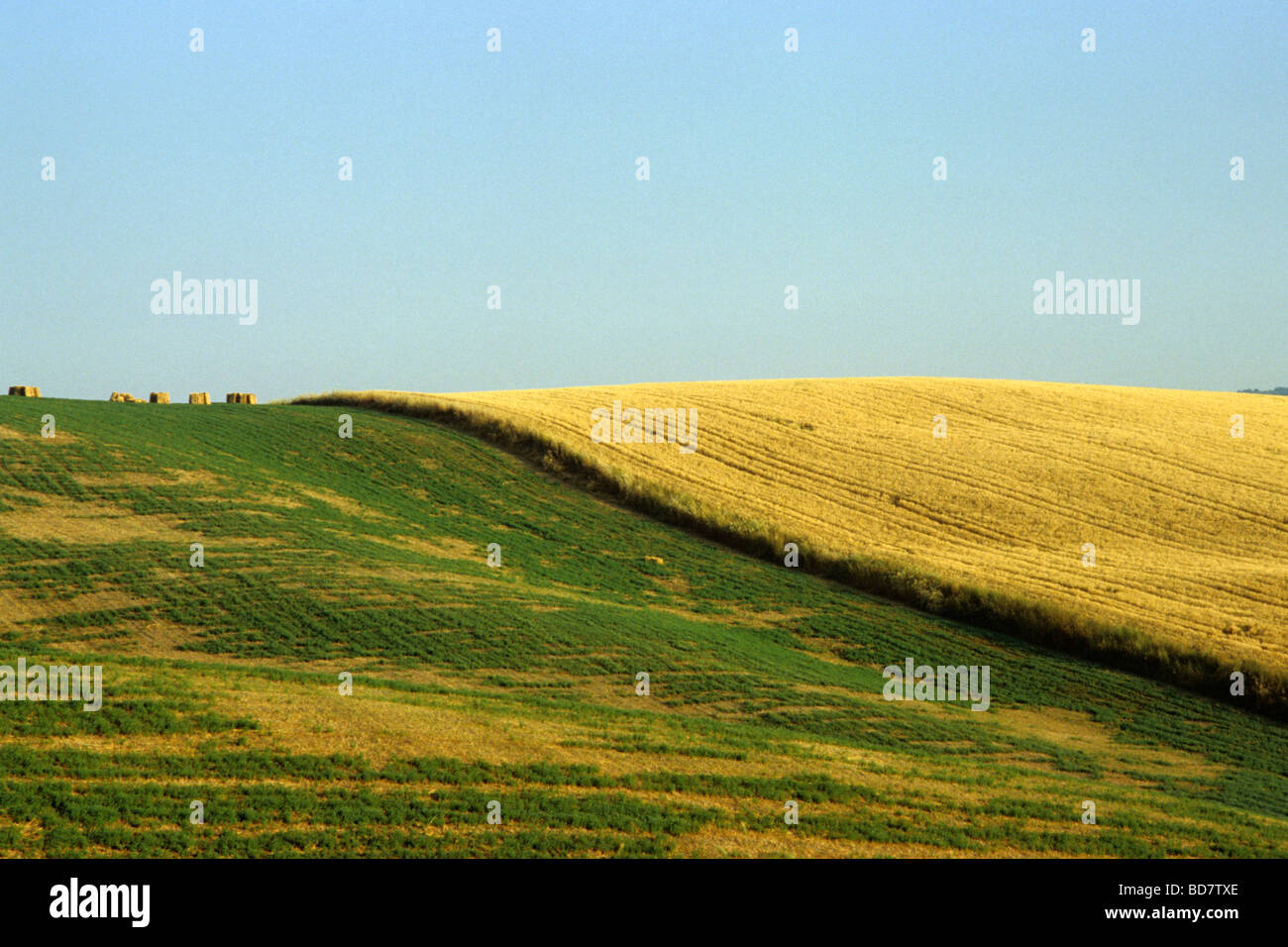 Sienese landscape Siena Italy Stock Photo - Alamy