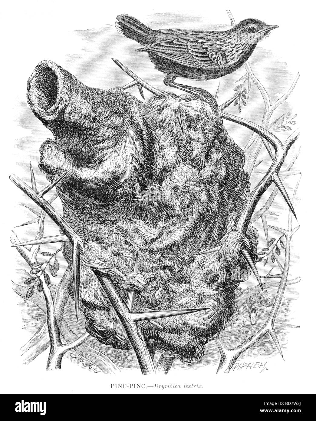 Textrix hi-res stock photography and images - Alamy