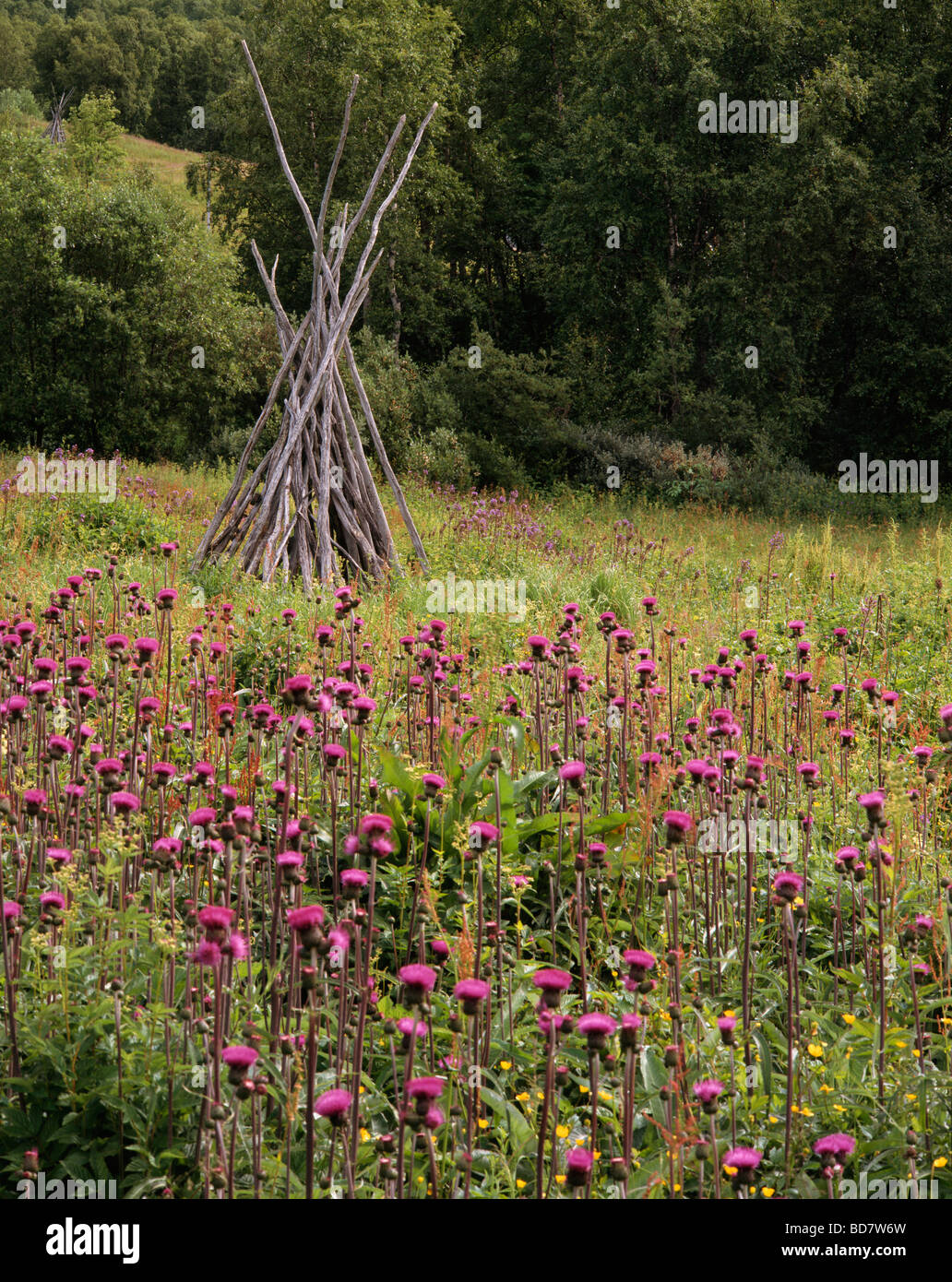 Flower drying rack hi-res stock photography and images - Alamy
