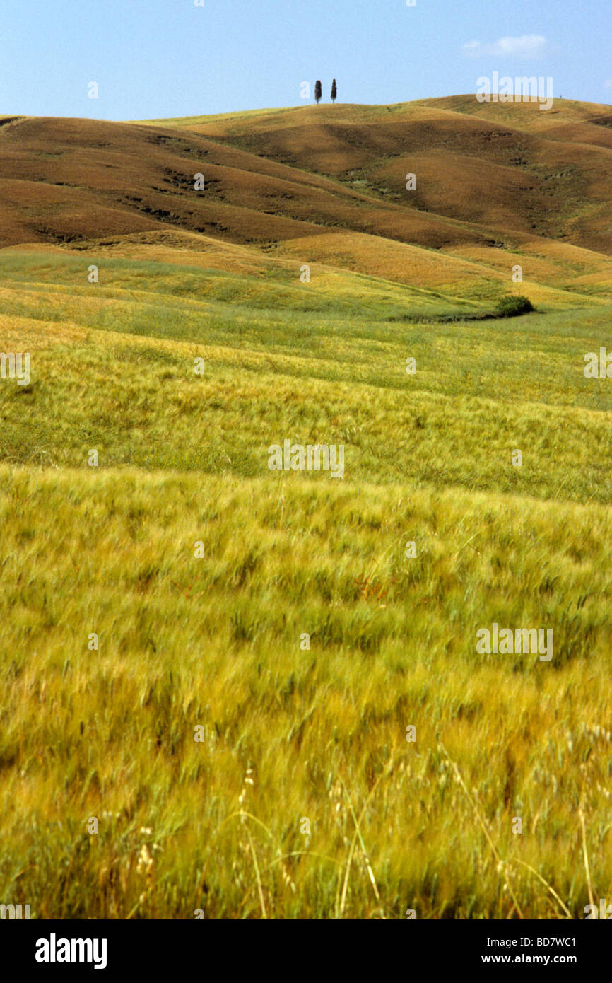Sienese landscape Siena Italy Stock Photo - Alamy