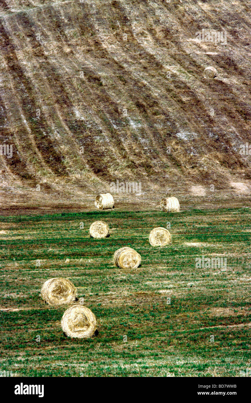 Sienese landscape Siena Italy Stock Photo - Alamy