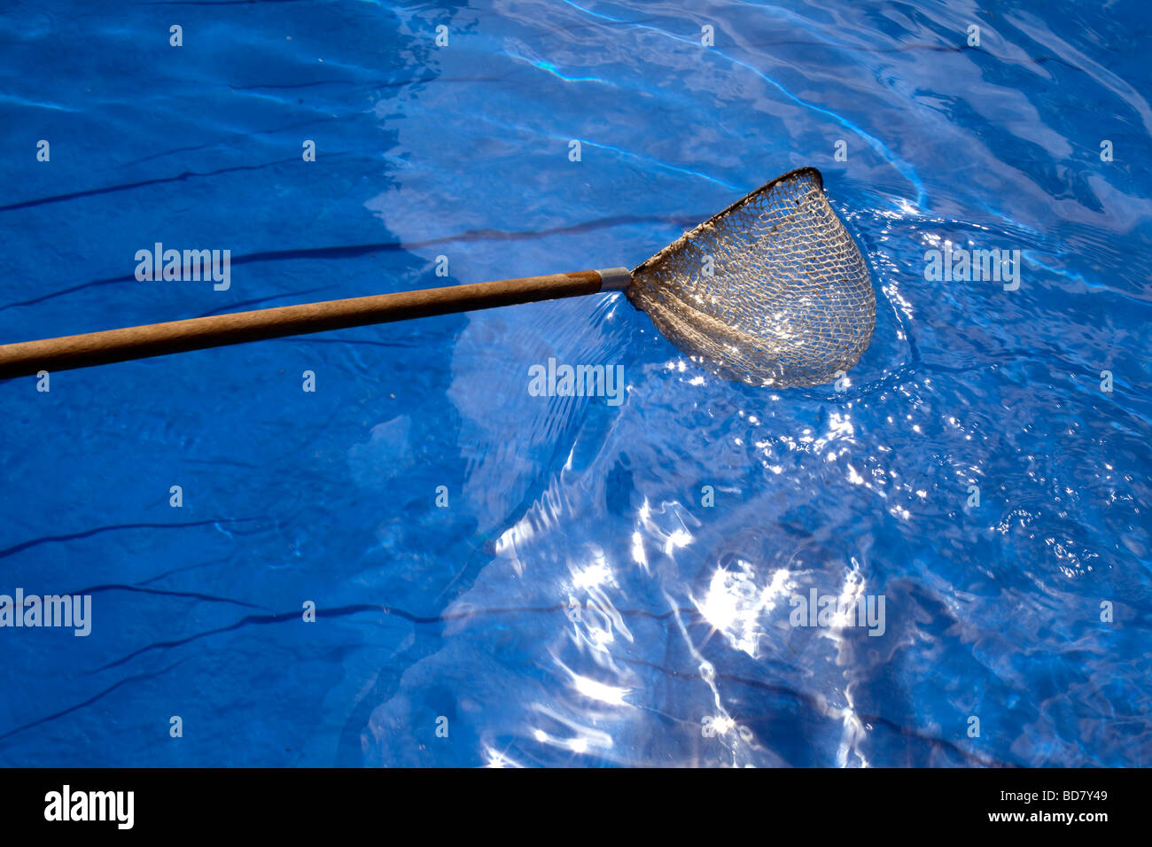 Net clearing debris from pool Stock Photo - Alamy