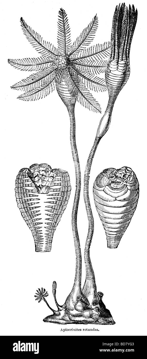 Rotundas hi-res stock photography and images - Alamy