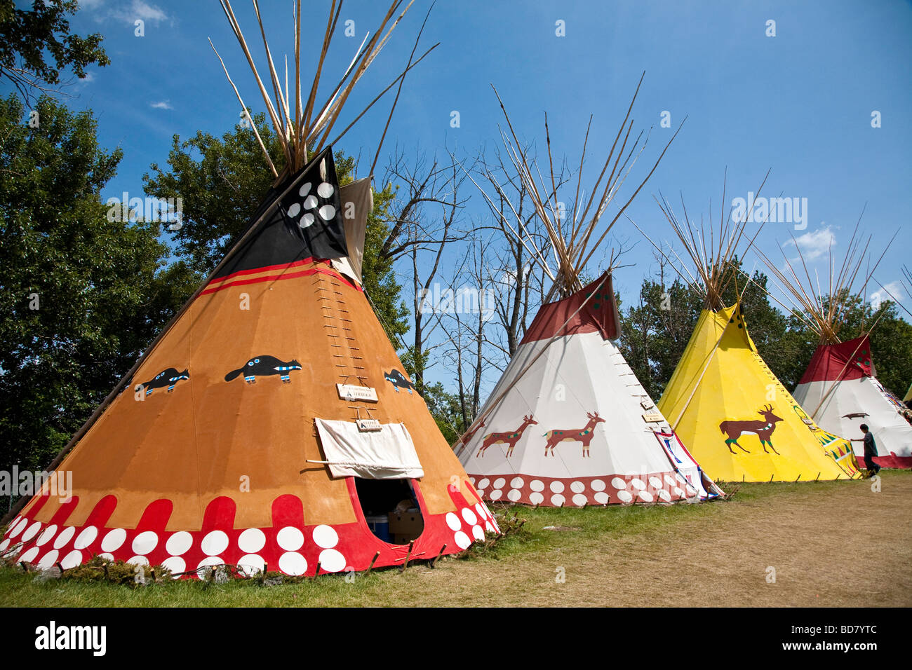 North American Plaims Native Indian in traditional dress at Pow Wow in ...