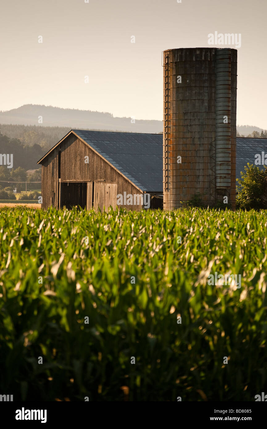 Maize barn hi-res stock photography and images - Alamy
