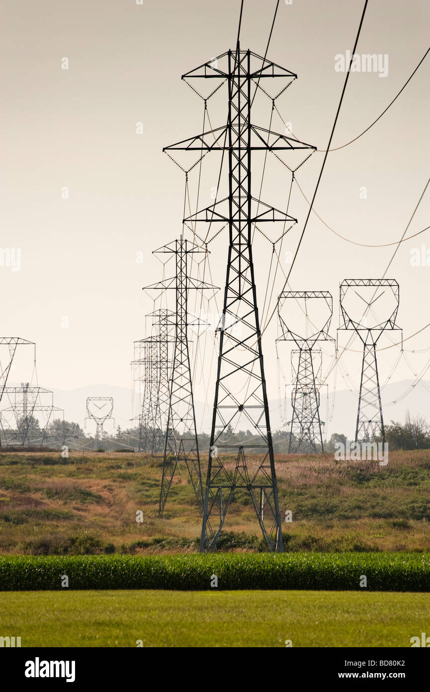 Huge power lines crossing Whatcom County loom above the landscape and ...