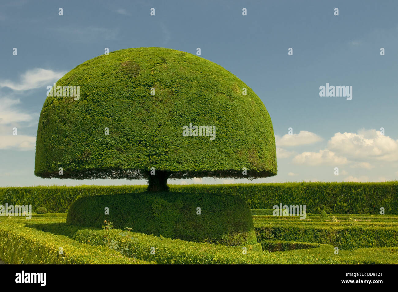 Grassland Mushroom Topiary