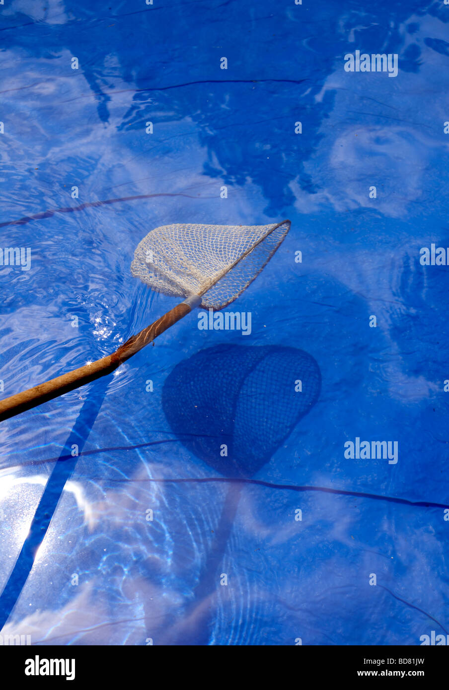 Net clearing debris from pool Stock Photo - Alamy