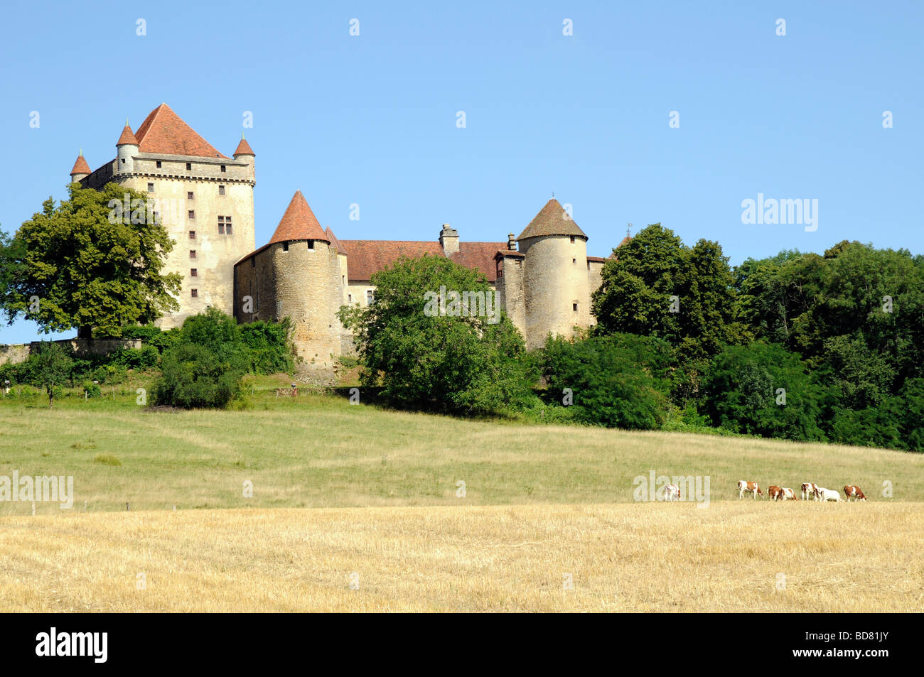 Chateau du pin hi-res stock photography and images - Alamy