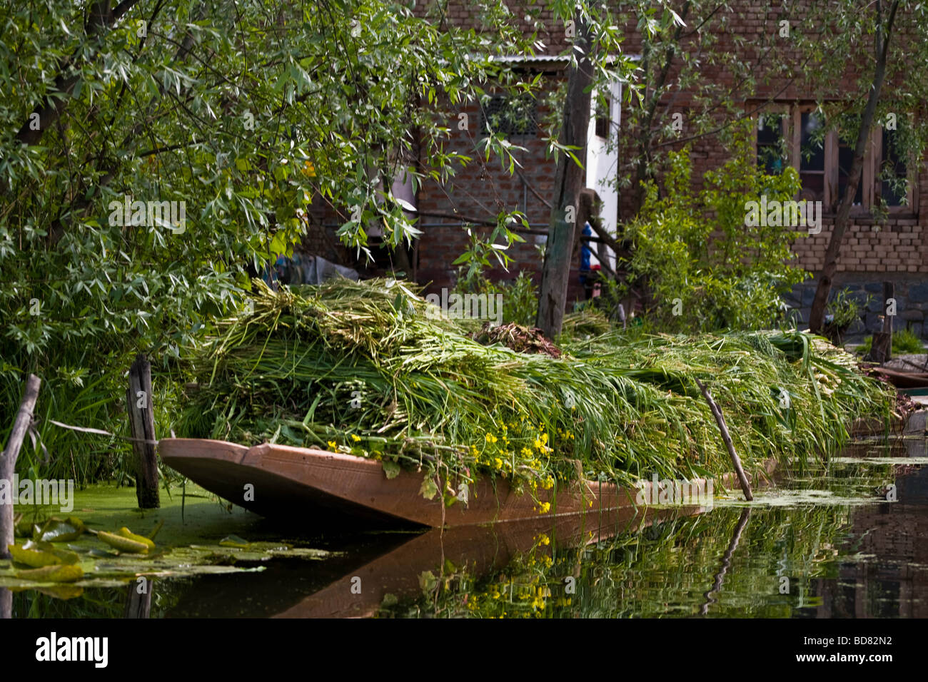 Simple boat overflowing with market produce from the floating fields in ...