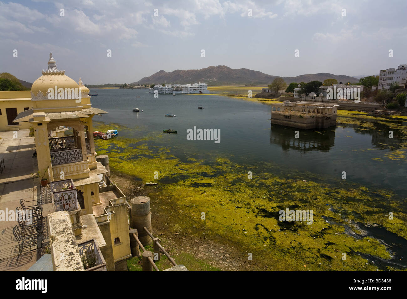 Round green algae hi-res stock photography and images - Alamy