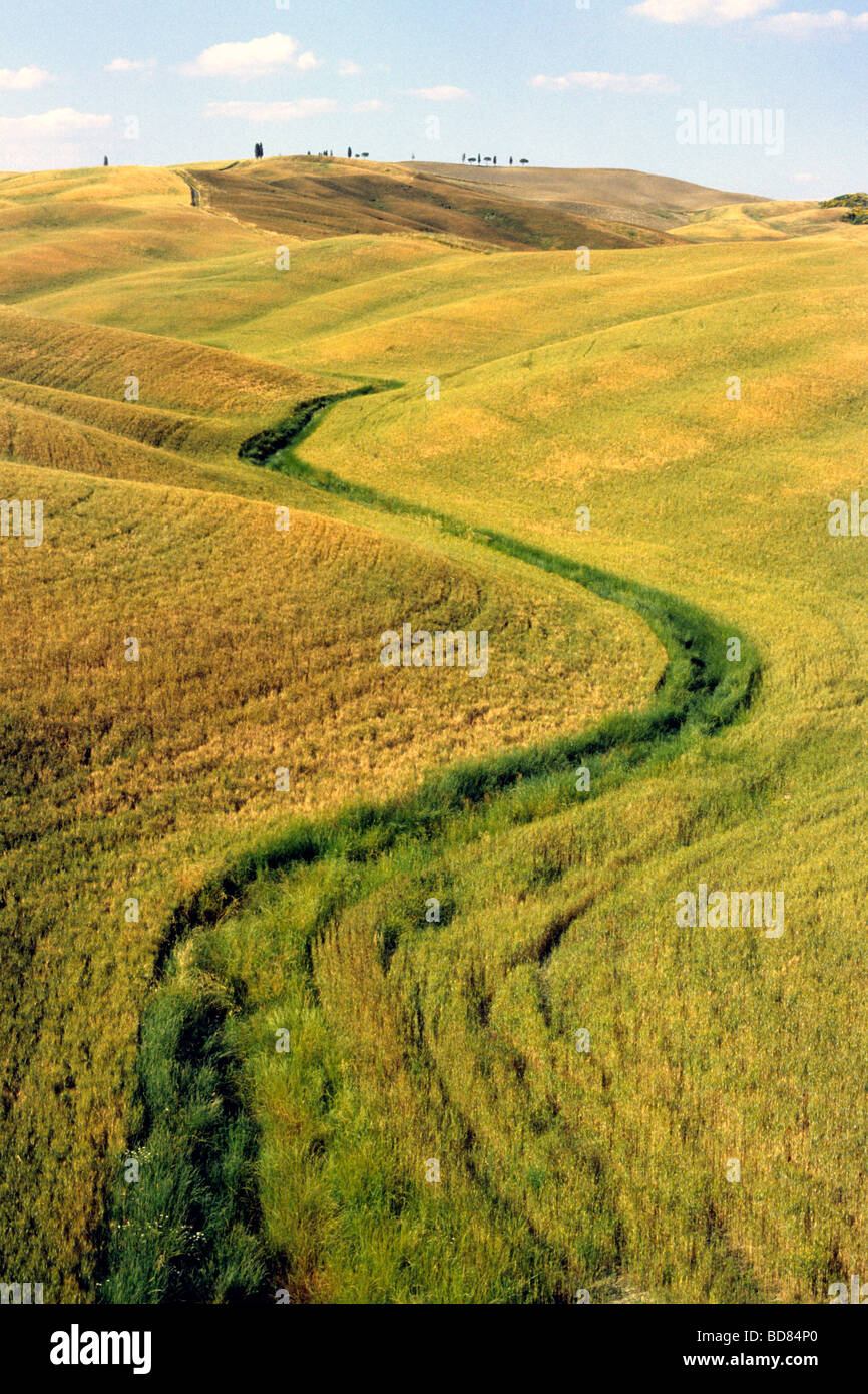 Sienese landscape Siena Italy Stock Photo - Alamy