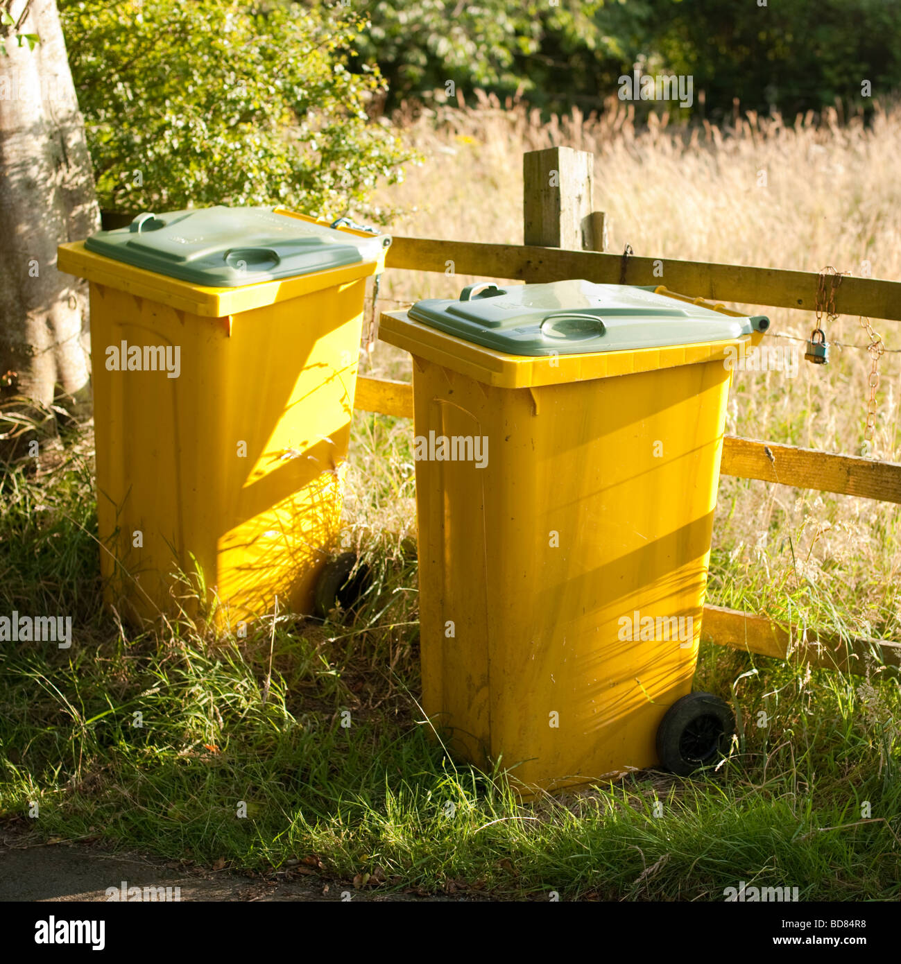 two yellow wheelie bins with green lids in a rural lane, Wales UK Stock ...