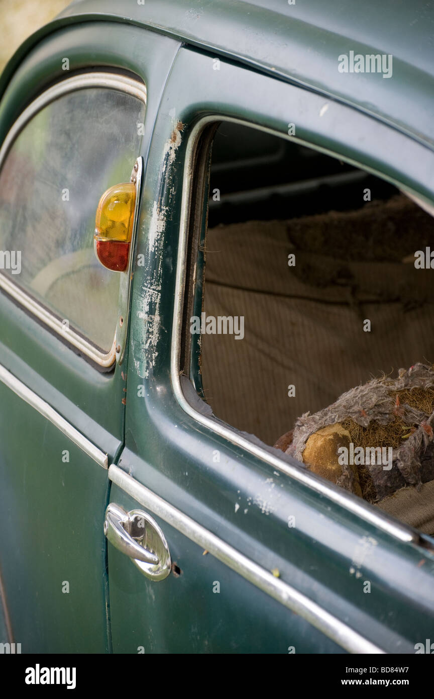Close up detail of the inside of an old rusty volkswagen beetle car ...