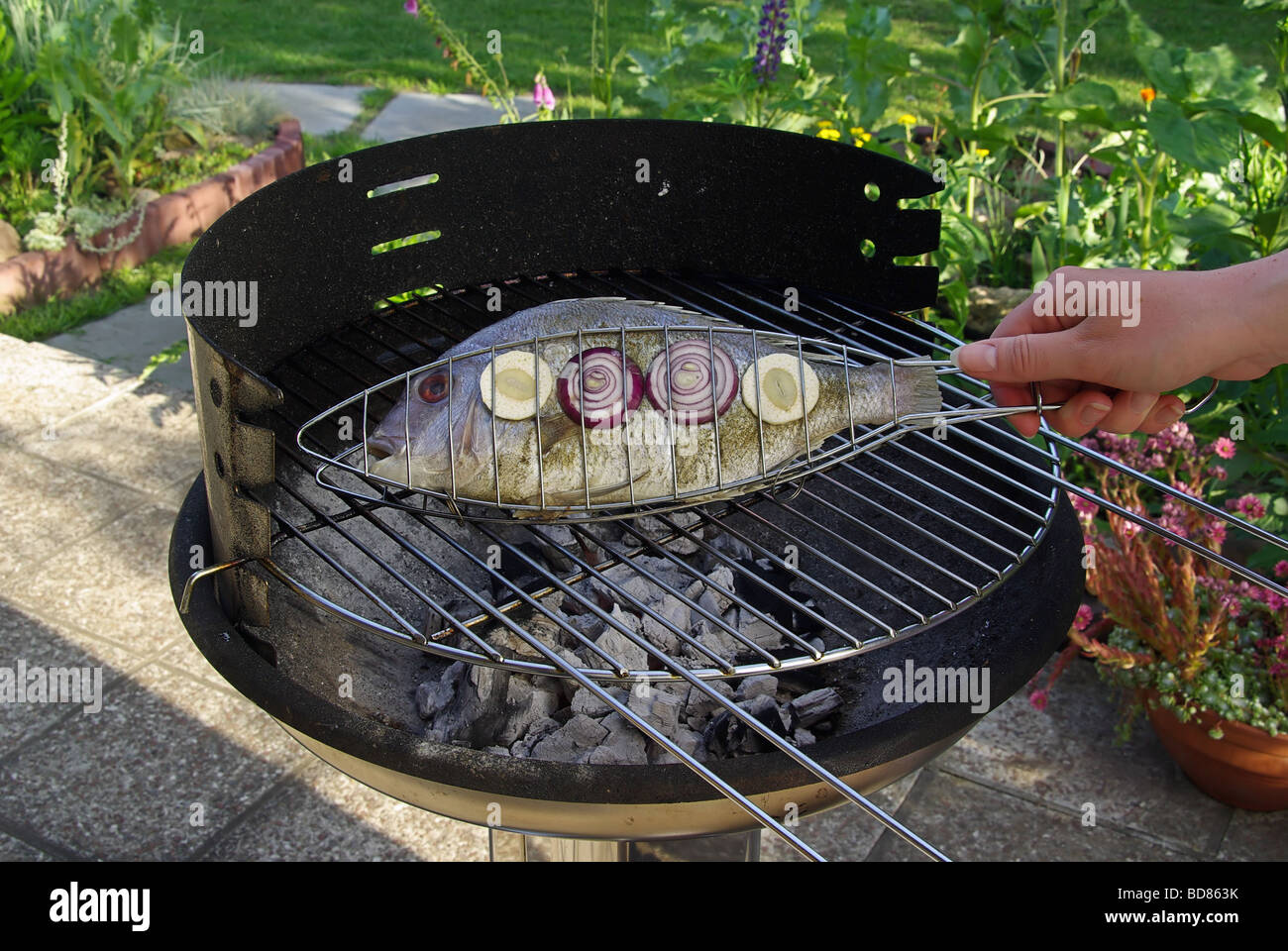 Grilled dorade hi-res stock photography and images - Alamy