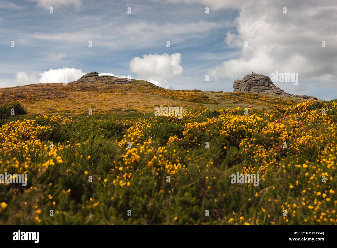 Haytor Rocks. Dartmoor National Park. Devon. England Stock Photo - Alamy