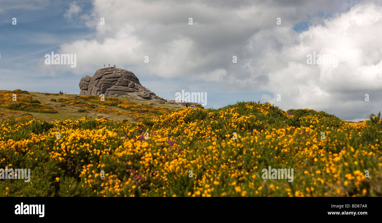Haytor Rocks. Dartmoor National Park. Devon. England Stock Photo - Alamy