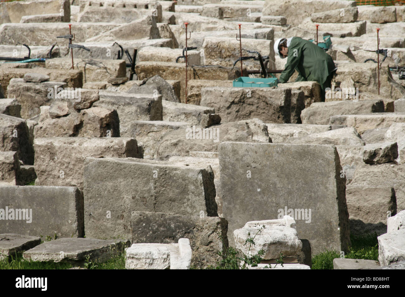archaeologist cleaning ancient roman relics in the largo argentina ...