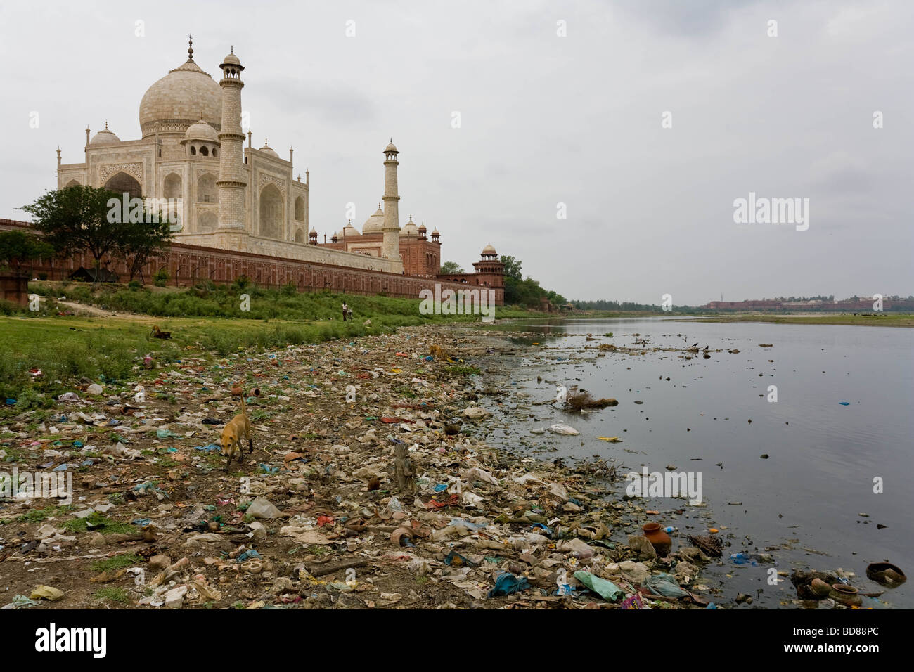 Pollution and waste line the river bank behind the Taj Mahal Stock ... Pollution and waste line the river bank behind the Taj Mahal Stock ...