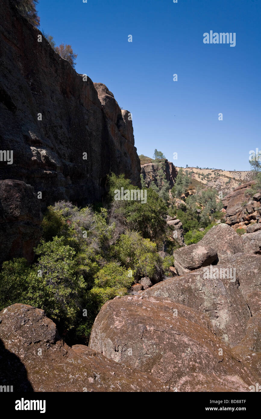Steep cliffs of a gully in Pinnacles National Park, California Stock ...