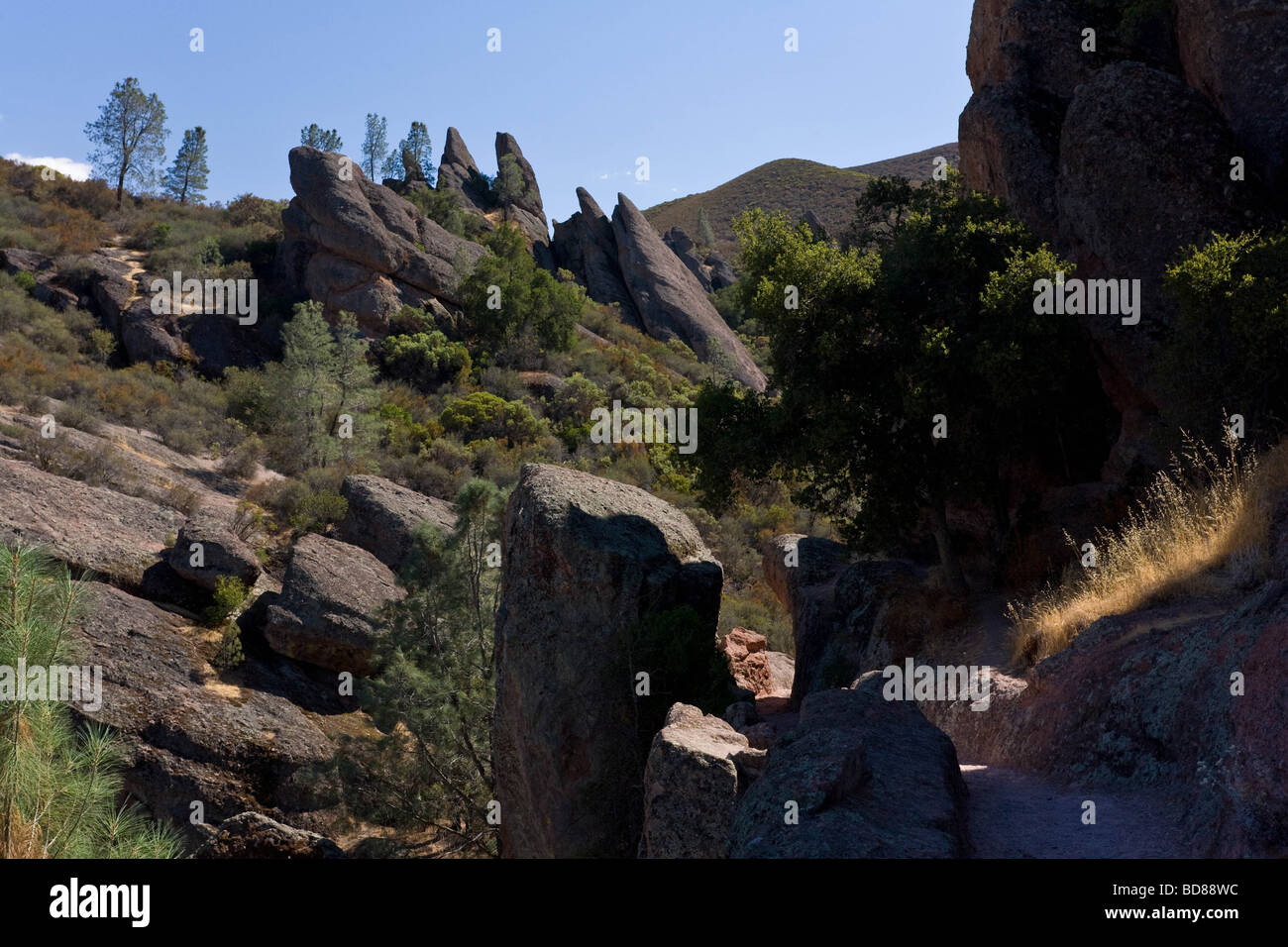A tree clings to the cliff face above a walking path through the ...