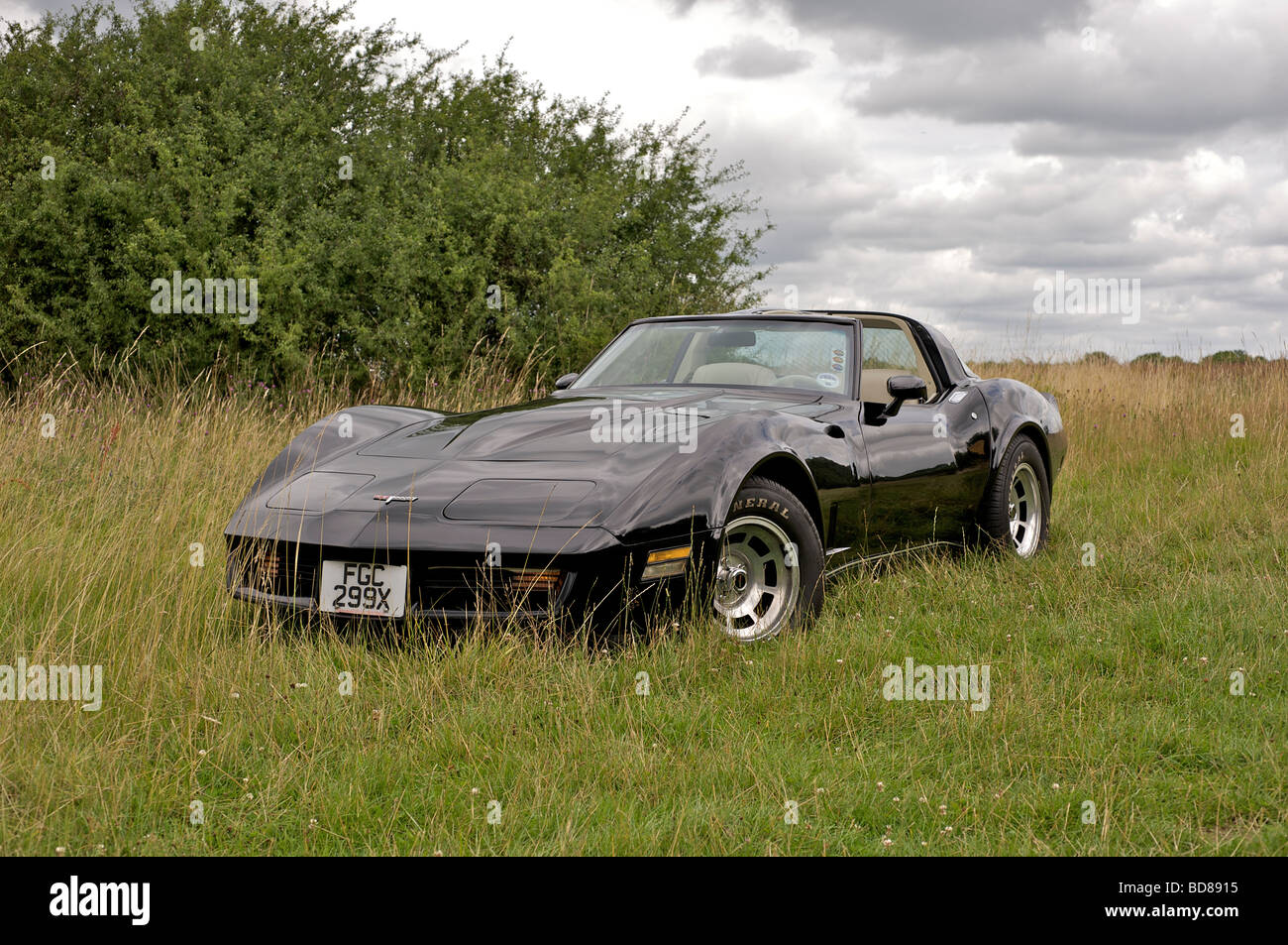 Corvette car hi-res stock photography and images - Alamy