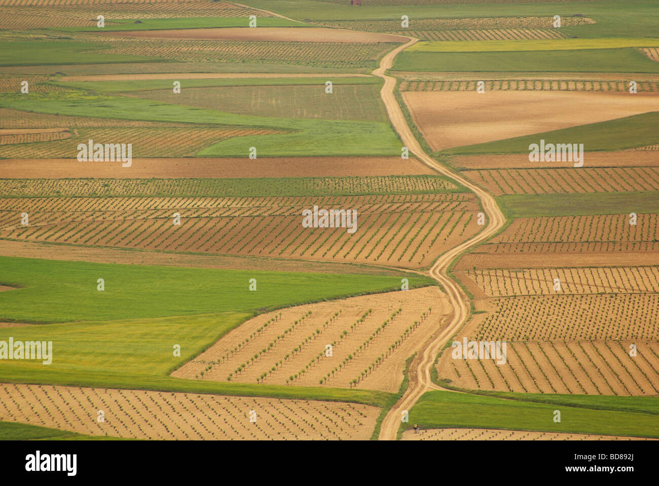 Spanien feld Spain field 04 Stock Photo - Alamy
