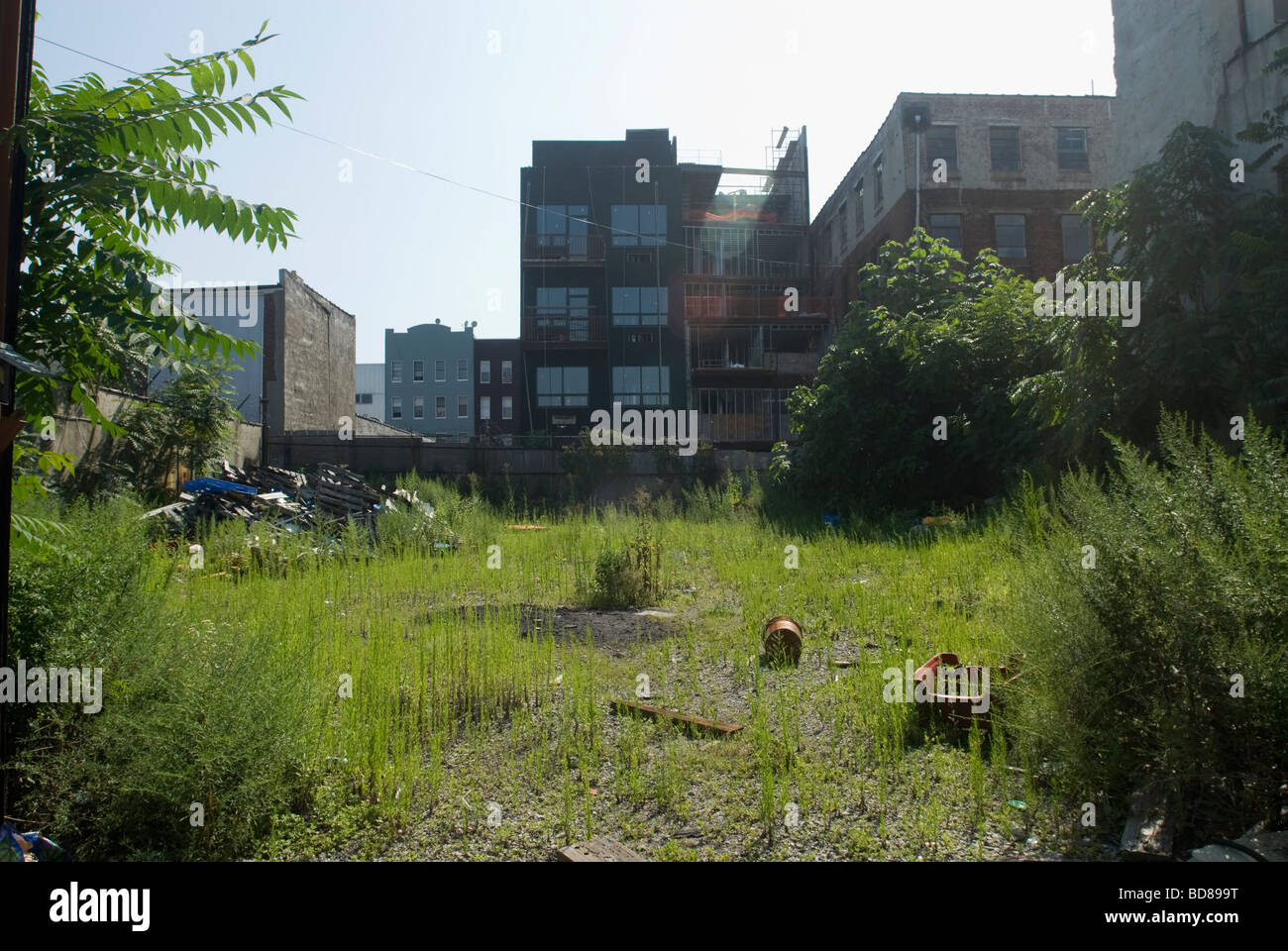 Undeveloped hi-res stock photography and images - Alamy