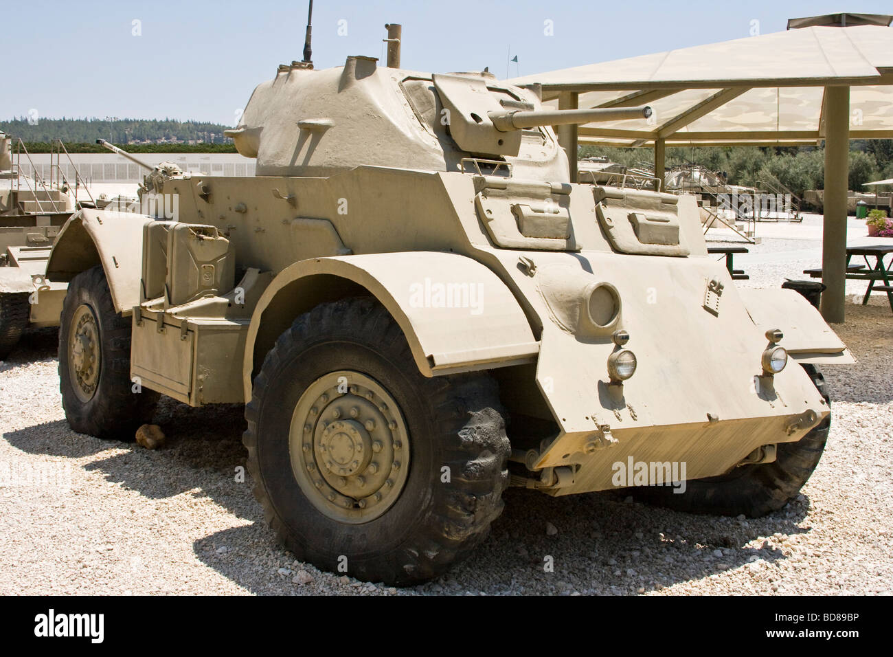 Staghound hi-res stock photography and images - Alamy